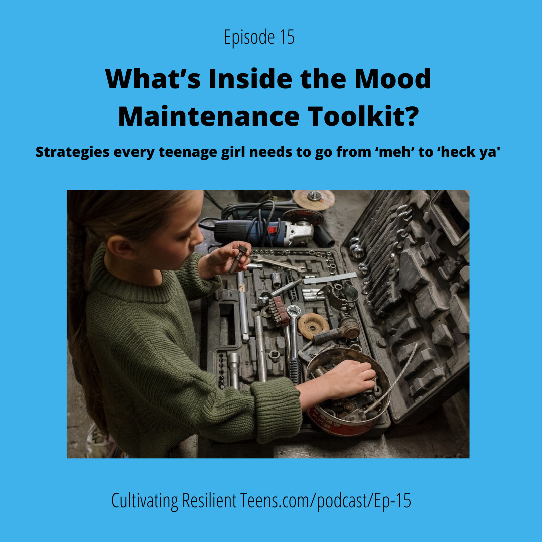 Ep - 15 What’s Inside the Mood Maintenance Toolkit? Strategies Every ...